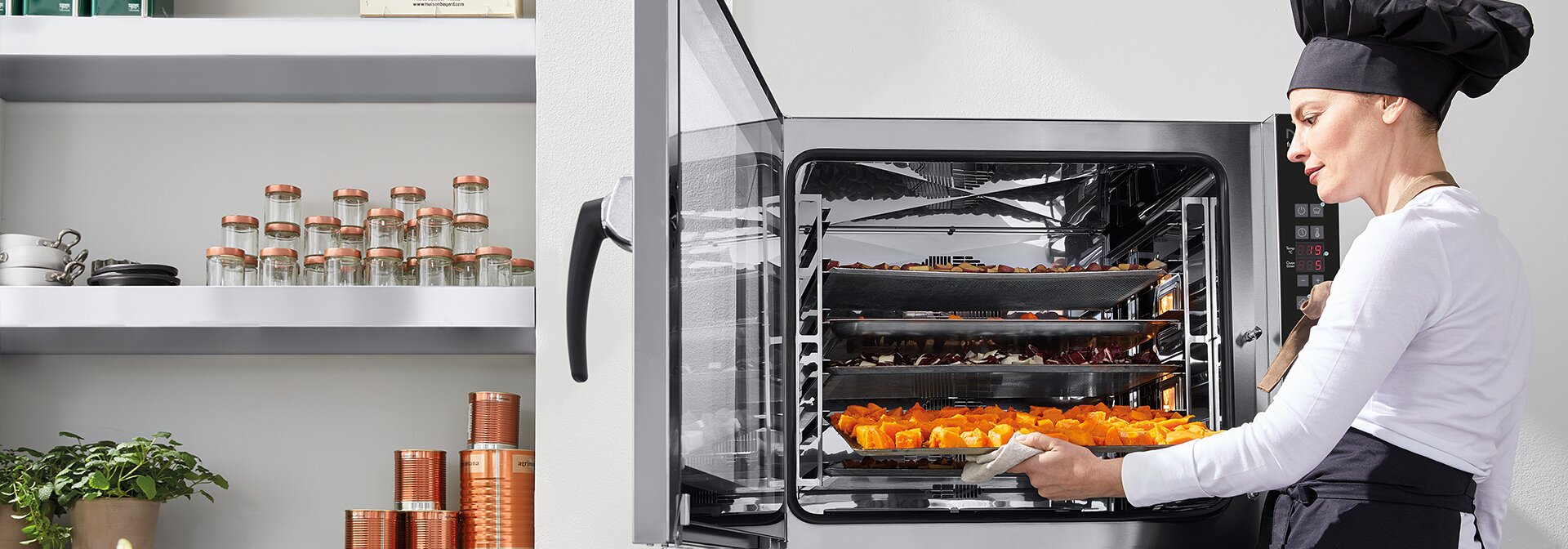 Function professional ovens